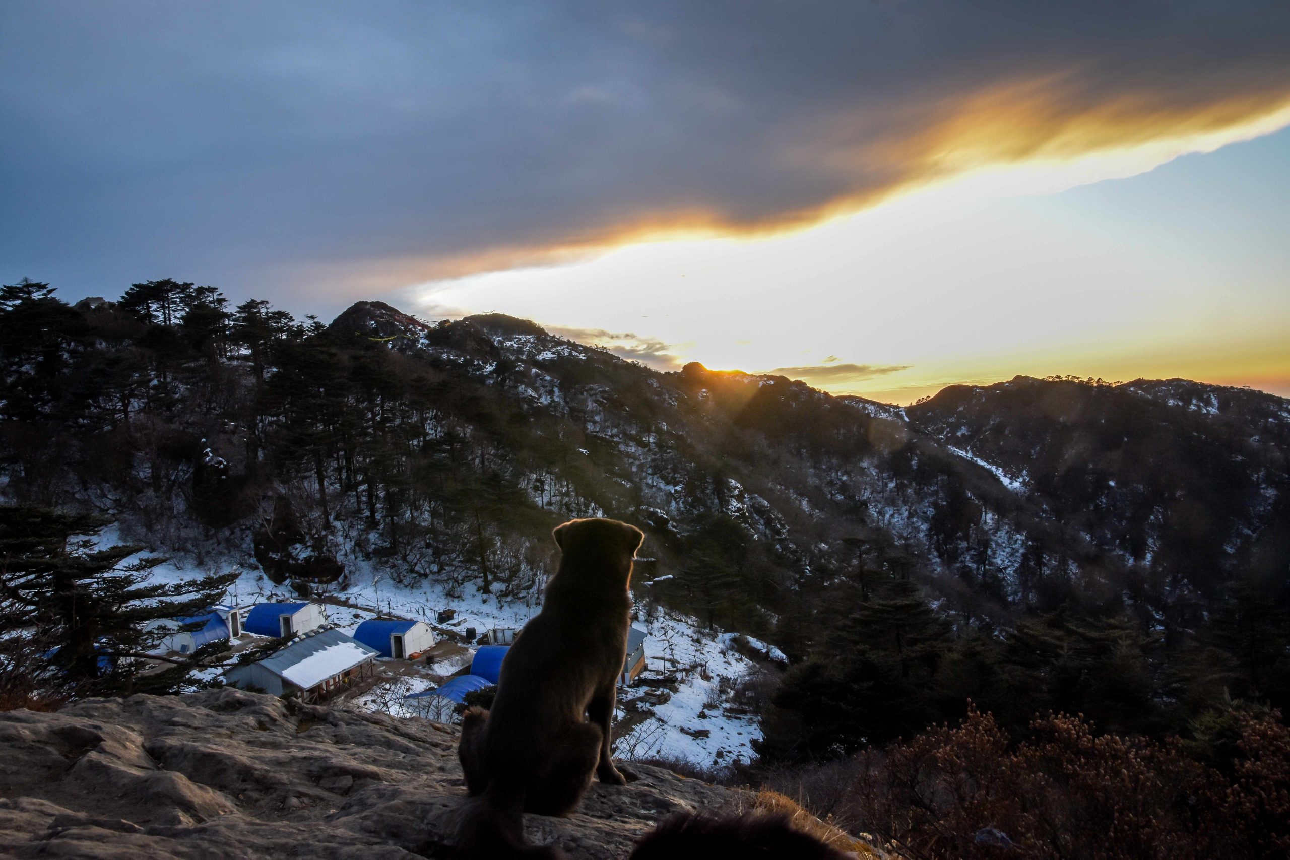 Sandakphu Phalut Trek – Altitude Adventure Holidays